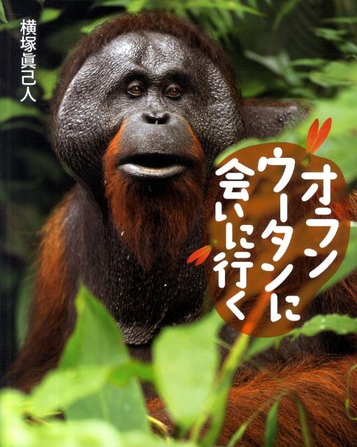 ◆◆◆おおむね良好な状態です。中古商品のため使用感等ある場合がございますが、品質には十分注意して発送いたします。 【毎日発送】 商品状態 著者名 横塚真己人 出版社名 偕成社 発売日 2011年07月 ISBN 9784033322407