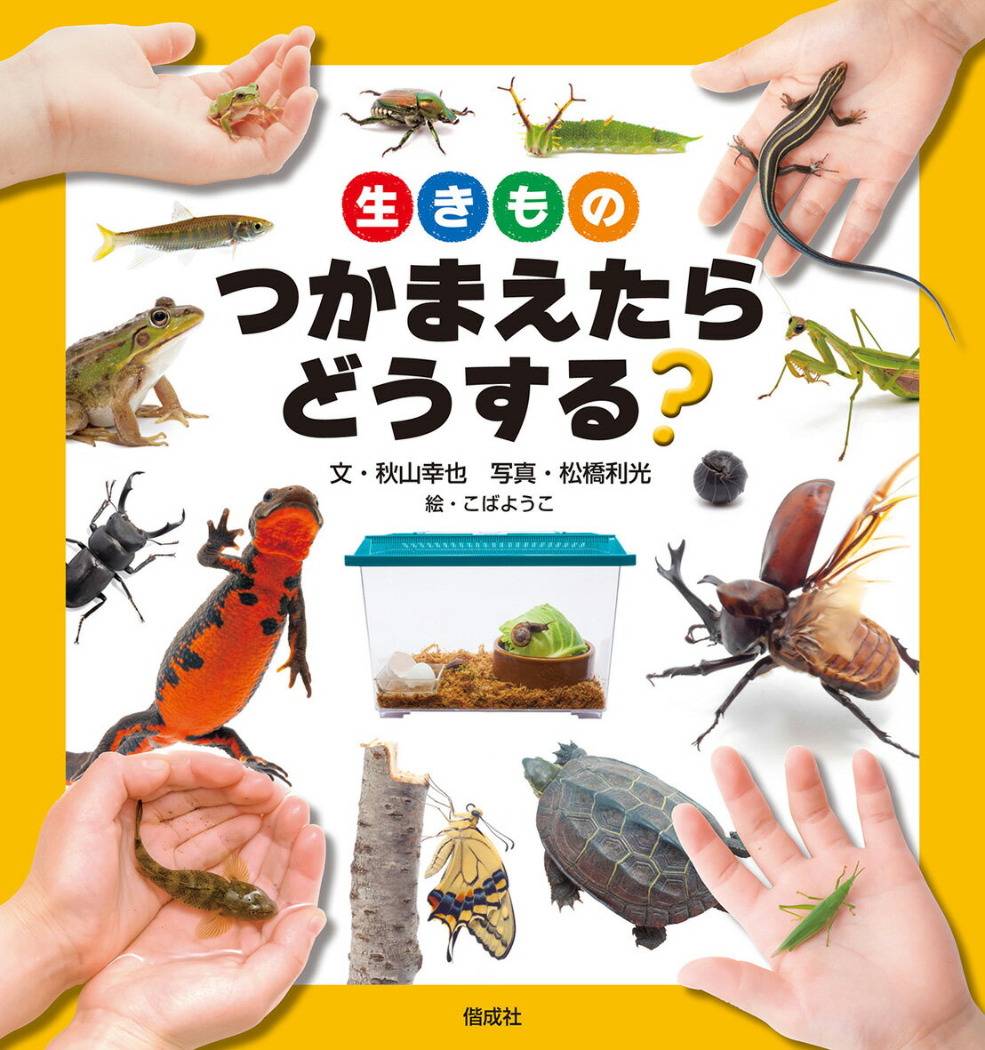 ◆◆◆おおむね良好な状態です。中古商品のため使用感等ある場合がございますが、品質には十分注意して発送いたします。 【毎日発送】 商品状態 著者名 秋山幸也、松橋利光 出版社名 偕成社 発売日 2014年07月 ISBN 9784035272007