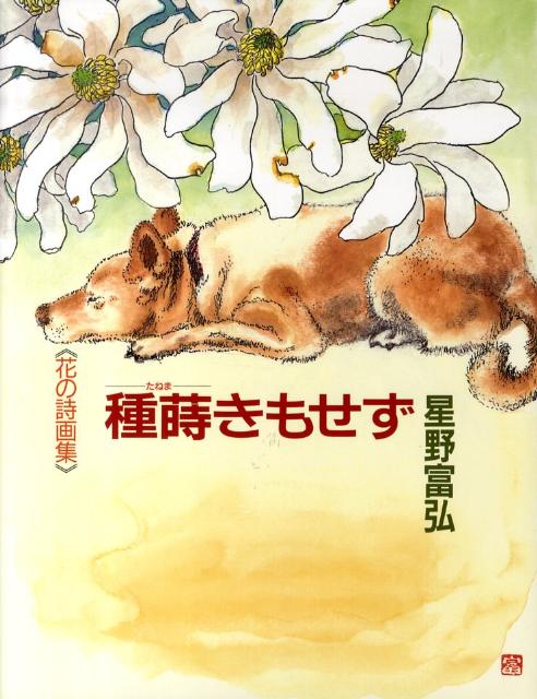 ◆◆◆カバーに日焼けがあります。中古ですので多少の使用感がありますが、品質には十分に注意して販売しております。迅速・丁寧な発送を心がけております。【毎日発送】 商品状態 著者名 星野富弘 出版社名 偕成社 発売日 2010年05月 ISBN...