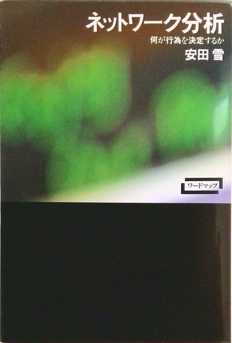 ◆◆◆非常にきれいな状態です。中古商品のため使用感等ある場合がございますが、品質には十分注意して発送いたします。 【毎日発送】 商品状態 著者名 安田雪 出版社名 新曜社 発売日 1997年02月 ISBN 9784788505841