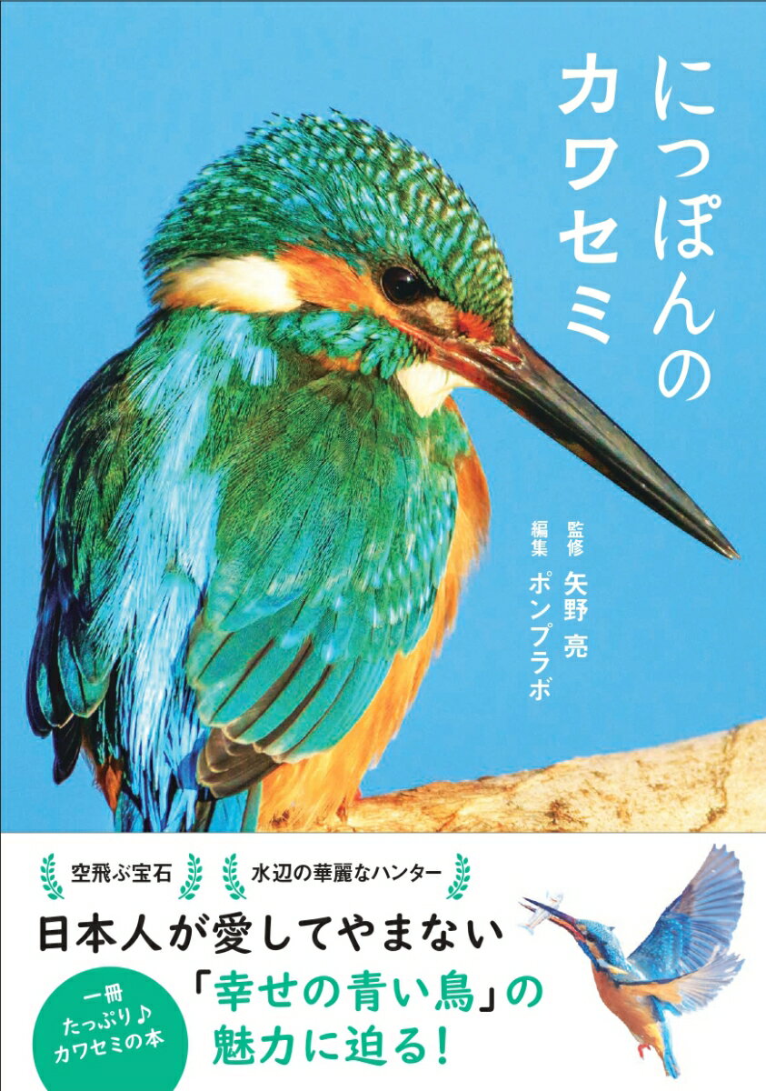 ◆◆◆非常にきれいな状態です。中古商品のため使用感等ある場合がございますが、品質には十分注意して発送いたします。 【毎日発送】 商品状態 著者名 矢野亮、ポンプラボ 出版社名 カンゼン 発売日 2021年04月20日 ISBN 978486...