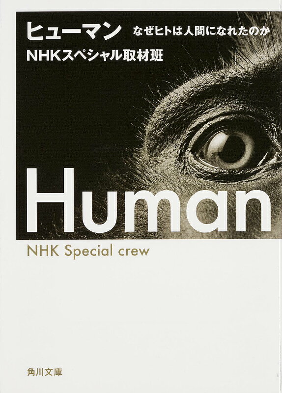 ◆◆◆全体的に傷み、日焼けがあります。カバーがありません。角折れがあります。中古ですので多少の使用感がありますが、品質には十分に注意して販売しております。迅速・丁寧な発送を心がけております。【毎日発送】 商品状態 著者名 日本放送協会 出版...