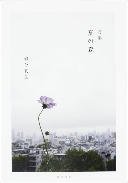 ◆◆◆おおむね良好な状態です。中古商品のため使用感等ある場合がございますが、品質には十分注意して発送いたします。 【毎日発送】 商品状態 著者名 銀色夏生 出版社名 KADOKAWA 発売日 2016年01月25日 ISBN 9784041...
