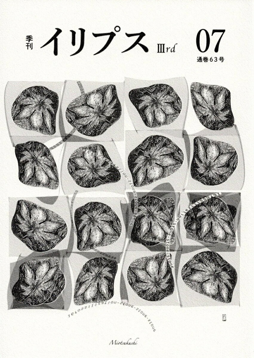 ◆◆◆おおむね良好な状態です。中古商品のため使用感等ある場合がございますが、品質には十分注意して発送いたします。 【毎日発送】 商品状態 著者名 出版社名 澪標 発売日 2024年04月15日 ISBN 9784860785888