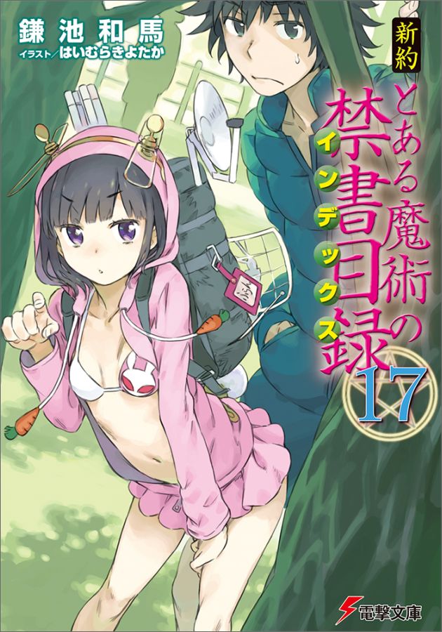 ◆◆◆おおむね良好な状態です。中古商品のため使用感等ある場合がございますが、品質には十分注意して発送いたします。 【毎日発送】 商品状態 著者名 鎌池和馬 出版社名 KADOKAWA 発売日 2016年11月10日 ISBN 9784048...