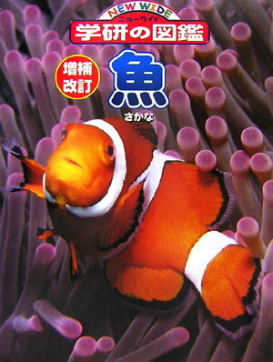 ◆◆◆非常にきれいな状態です。中古商品のため使用感等ある場合がございますが、品質には十分注意して発送いたします。 【毎日発送】 商品状態 著者名 Unknown:宗雄, 沖山 出版社名 Gakken 発売日 2006年07月 ISBN 97...