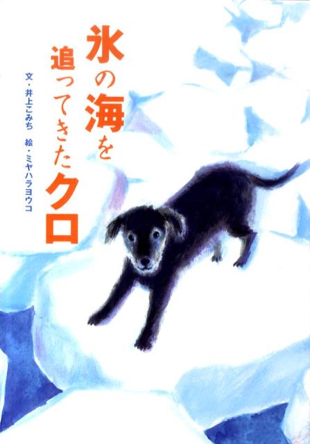 ◆◆◆カバーがありません。中古ですので多少の使用感がありますが、品質には十分に注意して販売しております。迅速・丁寧な発送を心がけております。【毎日発送】 商品状態 著者名 井上こみち、ミヤハラヨウコ 出版社名 学研教育出版 発売日 2010...