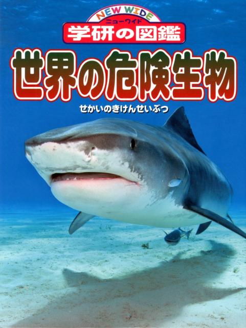 ◆◆◆全体的に使用感があります。カバーに汚れ、傷みがあります。中古ですので多少の使用感がありますが、品質には十分に注意して販売しております。迅速・丁寧な発送を心がけております。【毎日発送】 商品状態 著者名 今泉忠明、大場達之 出版社名 学...