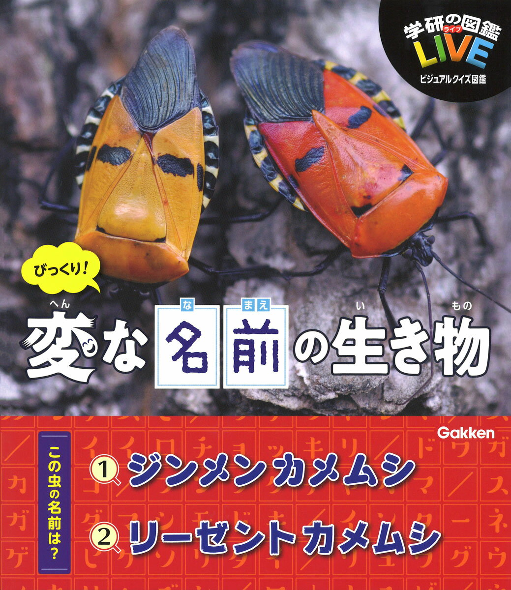 ◆◆◆非常にきれいな状態です。中古商品のため使用感等ある場合がございますが、品質には十分注意して発送いたします。 【毎日発送】 商品状態 著者名 木村義志 出版社名 Gakken 発売日 2018年09月05日 ISBN 978405204...