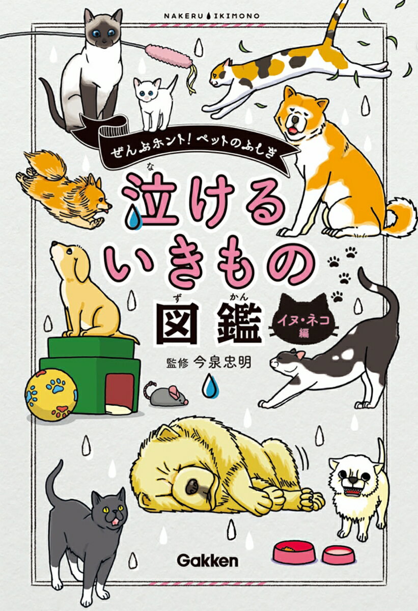 ◆◆◆非常にきれいな状態です。中古商品のため使用感等ある場合がございますが、品質には十分注意して発送いたします。 【毎日発送】 商品状態 著者名 今泉忠明 出版社名 Gakken 発売日 2019年07月30日 ISBN 978405205...