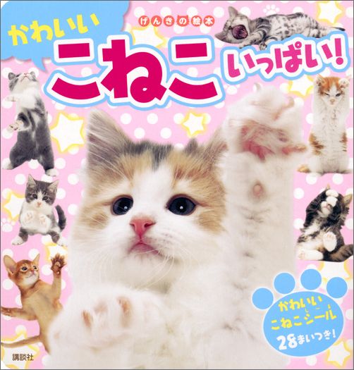 ◆◆◆表紙に日焼けがあります。中古ですので多少の使用感がありますが、品質には十分に注意して販売しております。迅速・丁寧な発送を心がけております。【毎日発送】 商品状態 著者名 U．F．P写真事務所 出版社名 講談社 発売日 2016年03月...