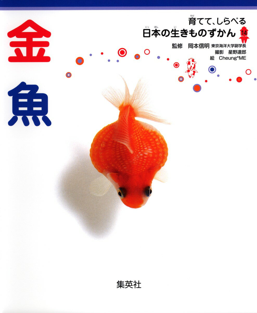 ◆◆◆非常にきれいな状態です。中古商品のため使用感等ある場合がございますが、品質には十分注意して発送いたします。 【毎日発送】 商品状態 著者名 岡本信明 出版社名 集英社 発売日 2007年02月28日 ISBN 9784082200145