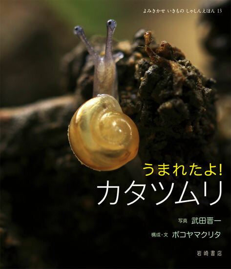 ◆◆◆おおむね良好な状態です。中古商品のため使用感等ある場合がございますが、品質には十分注意して発送いたします。 【毎日発送】 商品状態 著者名 武田晋一、ボコヤマクリタ 出版社名 岩崎書店 発売日 2013年10月 ISBN 978426...