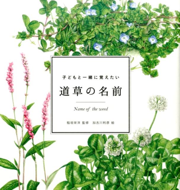◆◆◆非常にきれいな状態です。中古商品のため使用感等ある場合がございますが、品質には十分注意して発送いたします。 【毎日発送】 商品状態 著者名 稲垣栄洋、加古川利彦 出版社名 マイルスタッフ 発売日 2017年05月01日 ISBN 97...