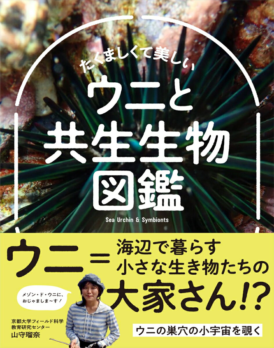 ◆◆◆非常にきれいな状態です。中古商品のため使用感等ある場合がございますが、品質には十分注意して発送いたします。 【毎日発送】 商品状態 著者名 山守瑠奈 出版社名 創元社 発売日 2021年10月20日 ISBN 9784422430430