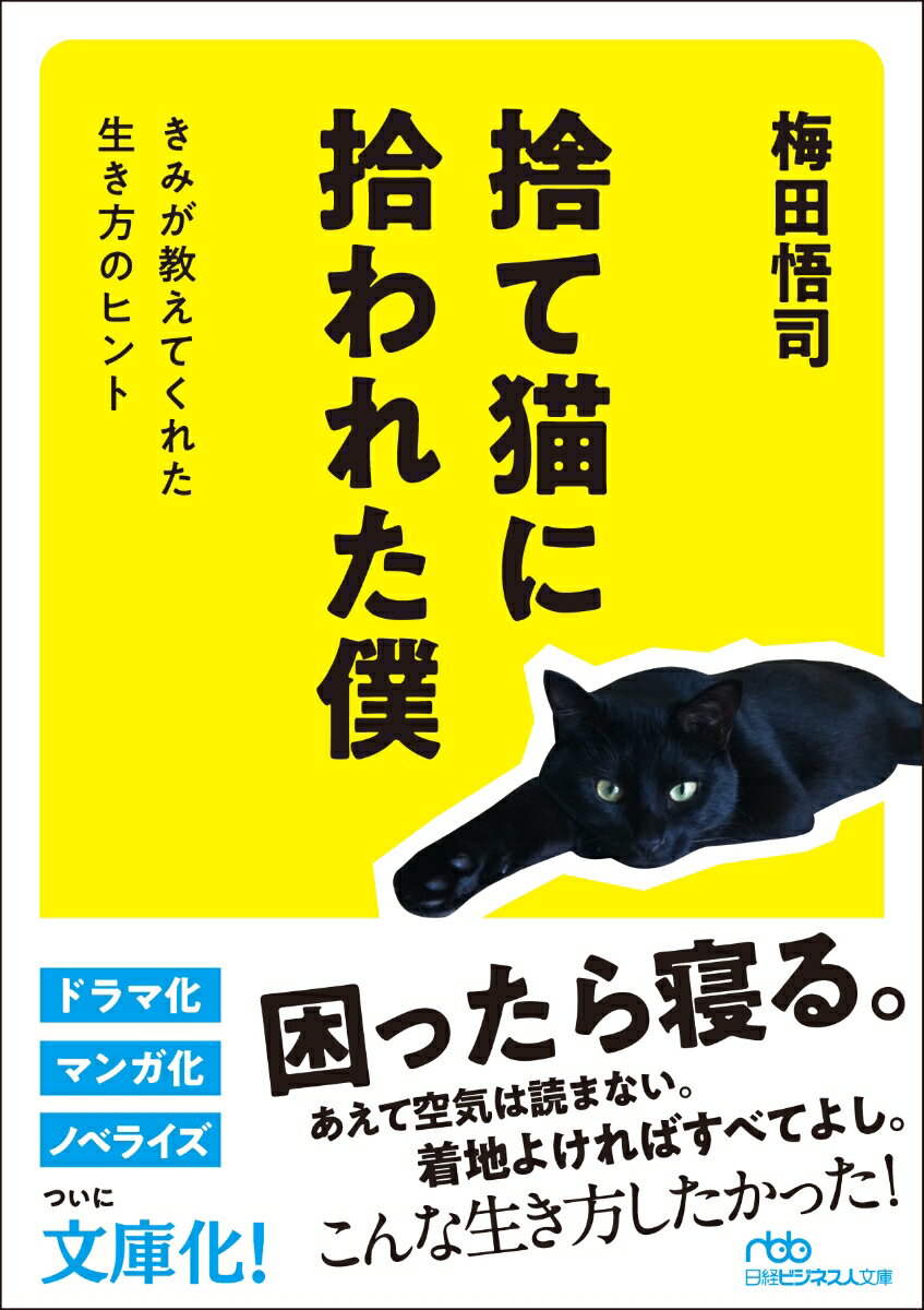 ◆◆◆非常にきれいな状態です。中古商品のため使用感等ある場合がございますが、品質には十分注意して発送いたします。 【毎日発送】 商品状態 著者名 梅田悟司 出版社名 日経BPM（日本経済新聞出版本部） 発売日 2022年02月01日 ISB...