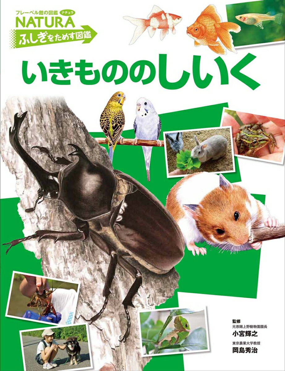 ◆◆◆非常にきれいな状態です。中古商品のため使用感等ある場合がございますが、品質には十分注意して発送いたします。 【毎日発送】 商品状態 著者名 小宮輝之、岡島秀治 出版社名 フレ−ベル館 発売日 2013年04月 ISBN 9784577...