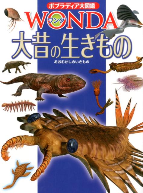 ◆◆◆小口に傷みがあります。中古ですので多少の使用感がありますが、品質には十分に注意して販売しております。迅速・丁寧な発送を心がけております。【毎日発送】 商品状態 著者名 小林快次 出版社名 ポプラ社 発売日 2014年07月 ISBN ...