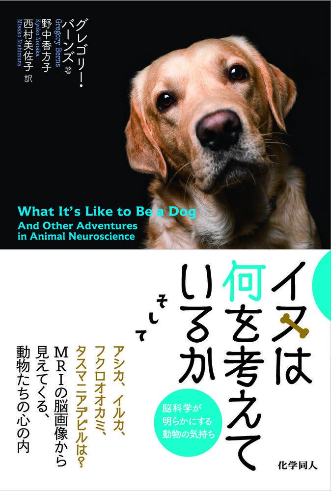 ◆◆◆非常にきれいな状態です。中古商品のため使用感等ある場合がございますが、品質には十分注意して発送いたします。 【毎日発送】 商品状態 著者名 グレゴリー・バーンズ、野中香方子 出版社名 化学同人 発売日 2020年08月25日 ISBN...