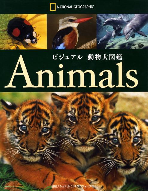 ◆◆◆おおむね良好な状態です。中古商品のため使用感等ある場合がございますが、品質には十分注意して発送いたします。 【毎日発送】 商品状態 著者名 カレン・マクギ−、ジョ−ジ・マッケイ 出版社名 日経ナショナルジオグラフィック社 発売日 20...