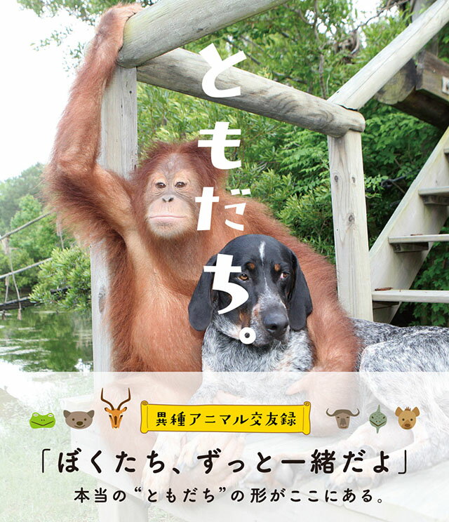 ◆◆◆おおむね良好な状態です。中古商品のため使用感等ある場合がございますが、品質には十分注意して発送いたします。 【毎日発送】 商品状態 著者名 開発社 出版社名 東京書店 発売日 2017年08月01日 ISBN 9784885740657