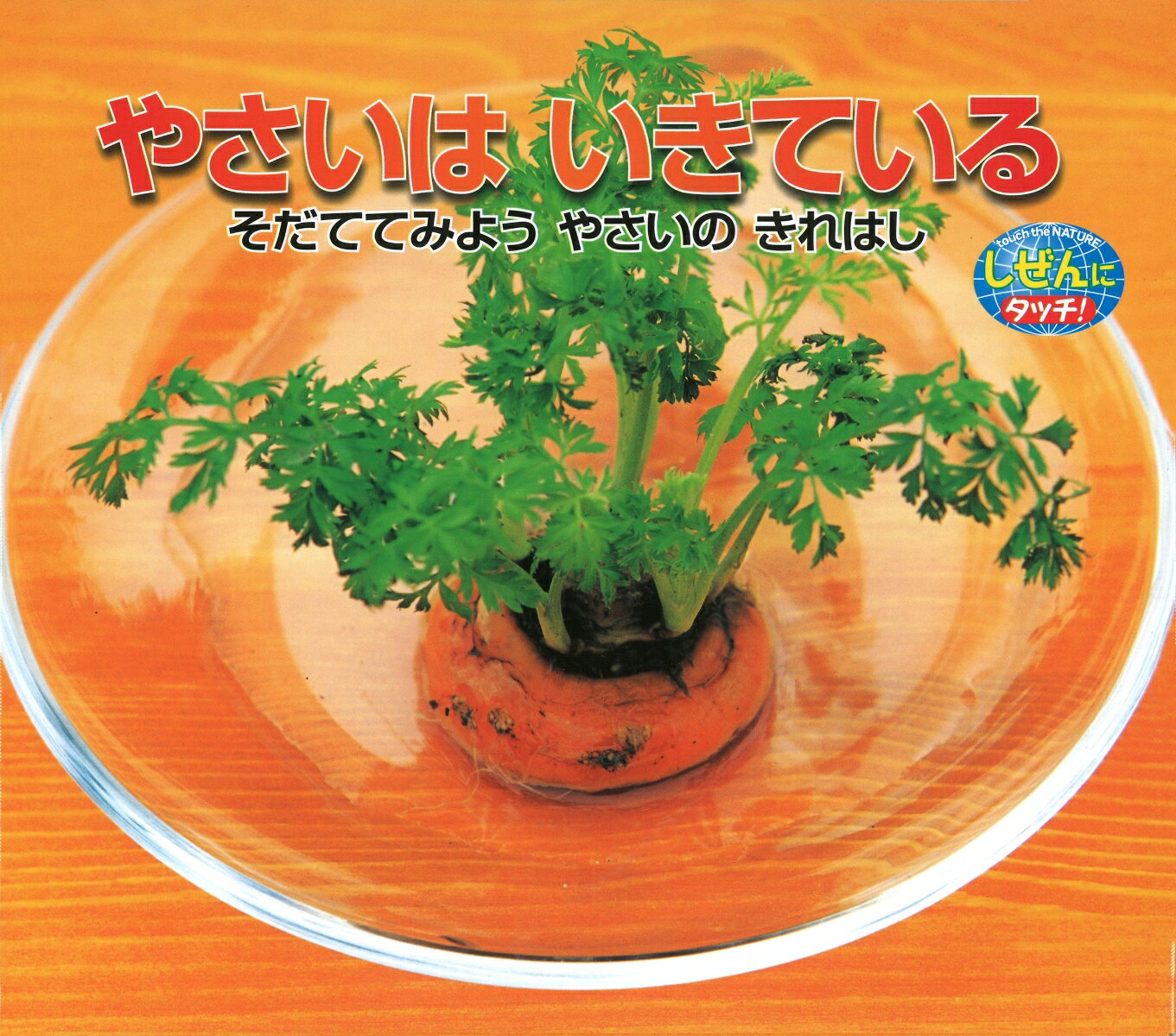 ◆◆◆カバーがありません。中古ですので多少の使用感がありますが、品質には十分に注意して販売しております。迅速・丁寧な発送を心がけております。【毎日発送】 商品状態 著者名 岩間史朗、藤田智 出版社名 ひさかたチャイルド 発売日 2007年0...
