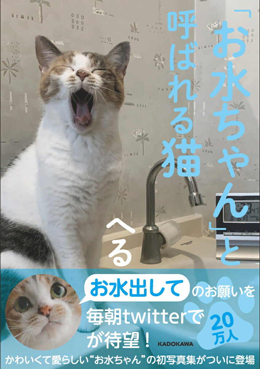 ◆◆◆非常にきれいな状態です。中古商品のため使用感等ある場合がございますが、品質には十分注意して発送いたします。 【毎日発送】 商品状態 著者名 へる 出版社名 KADOKAWA 発売日 2021年12月15日 ISBN 978404605...