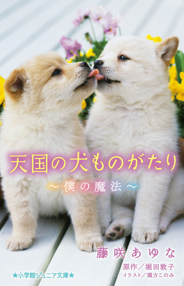 ◆◆◆おおむね良好な状態です。中古商品のため使用感等ある場合がございますが、品質には十分注意して発送いたします。 【毎日発送】 商品状態 著者名 藤咲あゆな、堀田敦子 出版社名 小学館 発売日 2017年12月04日 ISBN 978409...