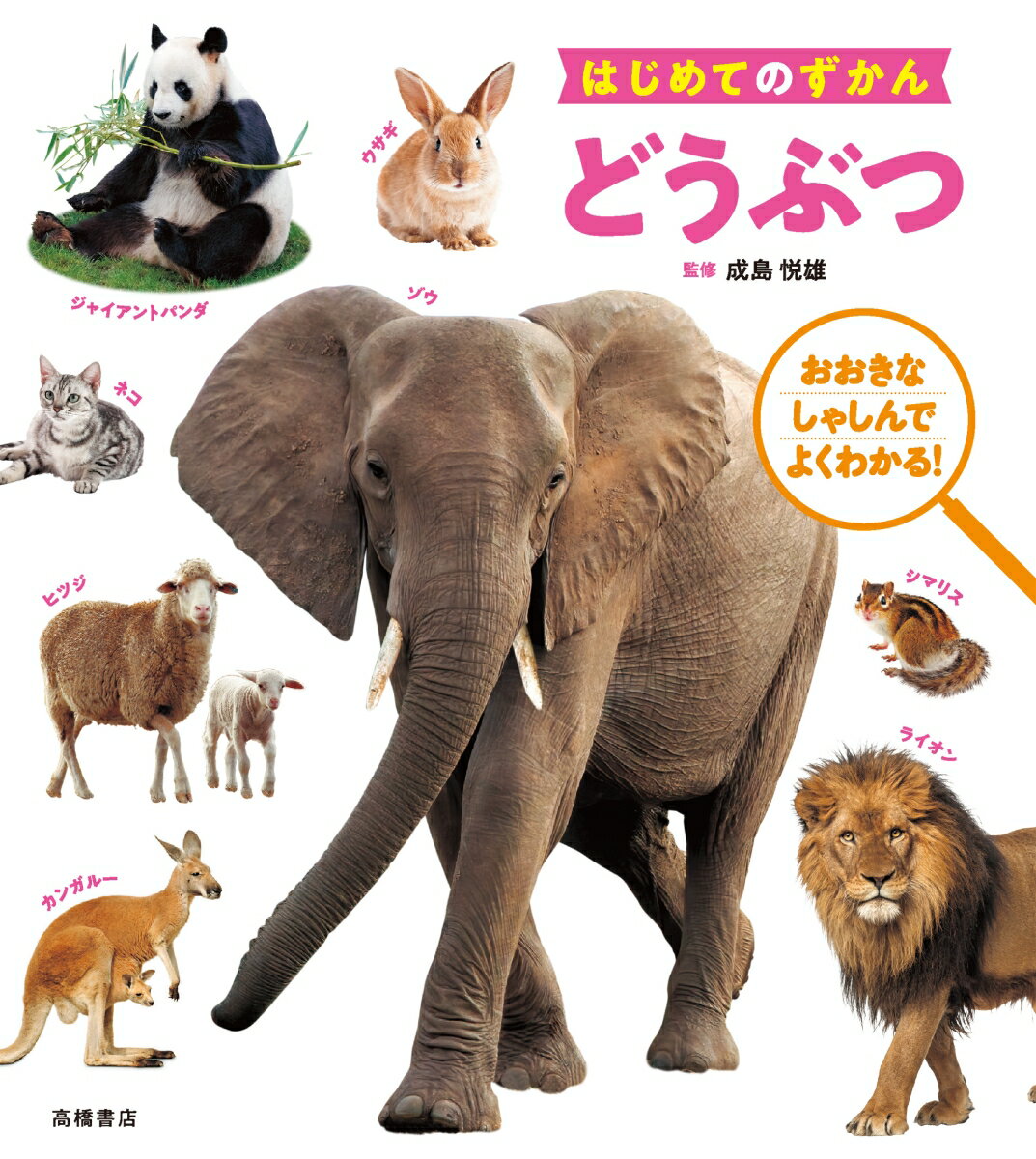 ◆◆◆非常にきれいな状態です。中古商品のため使用感等ある場合がございますが、品質には十分注意して発送いたします。 【毎日発送】 商品状態 著者名 成島悦雄 出版社名 高橋書店 発売日 2021年11月25日 ISBN 9784471104030