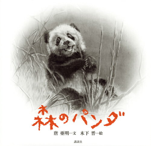 ◆◆◆カバーがありません。中古ですので多少の使用感がありますが、品質には十分に注意して販売しております。迅速・丁寧な発送を心がけております。【毎日発送】 商品状態 著者名 唐亜明、木下晋 出版社名 講談社 発売日 2017年06月14日 I...
