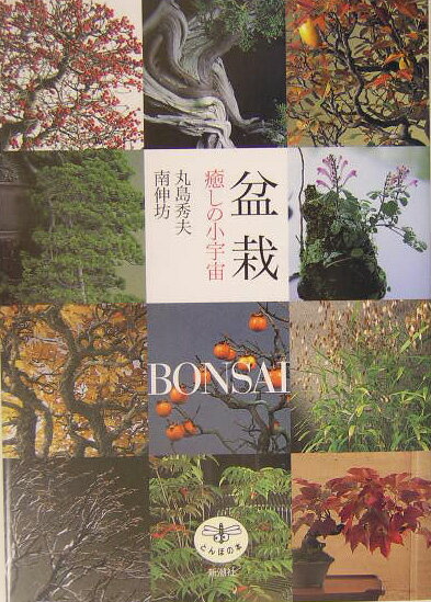 ◆◆◆おおむね良好な状態です。中古商品のため使用感等ある場合がございますが、品質には十分注意して発送いたします。 【毎日発送】 商品状態 著者名 丸島秀夫、南伸坊 出版社名 新潮社 発売日 2003年12月20日 ISBN 97841060...