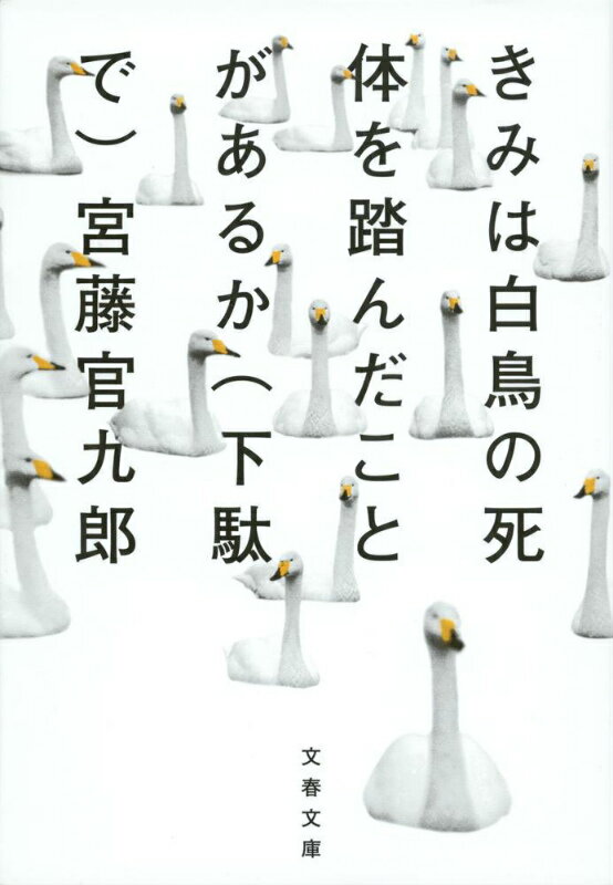 ◆◆◆おおむね良好な状態です。中古商品のため使用感等ある場合がございますが、品質には十分注意して発送いたします。 【毎日発送】 商品状態 著者名 宮藤官九郎 出版社名 文藝春秋 発売日 2013年11月10日 ISBN 9784167811037