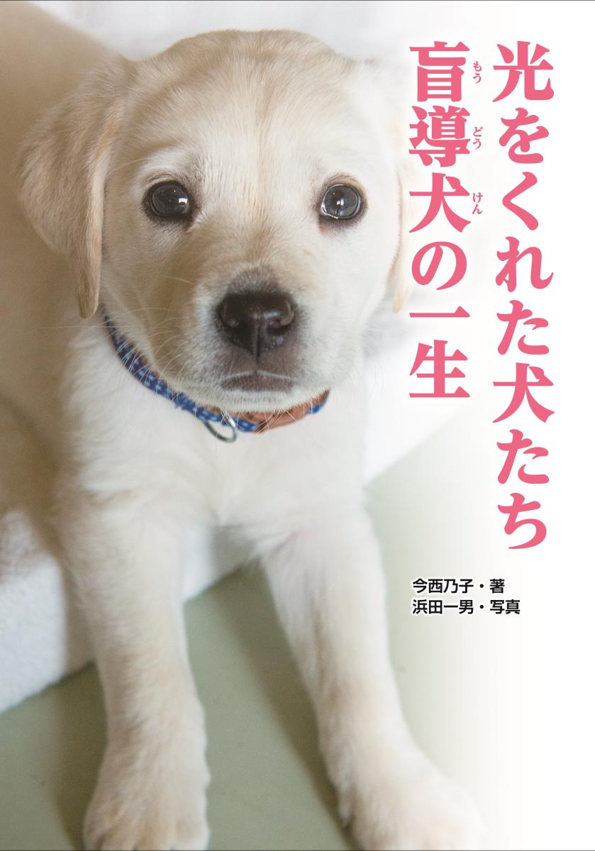 ◆◆◆全体的に汚れ、傷みがあります。中古ですので多少の使用感がありますが、品質には十分に注意して販売しております。迅速・丁寧な発送を心がけております。【毎日発送】 商品状態 著者名 今西乃子、浜田一男 出版社名 金の星社 発売日 2017年...