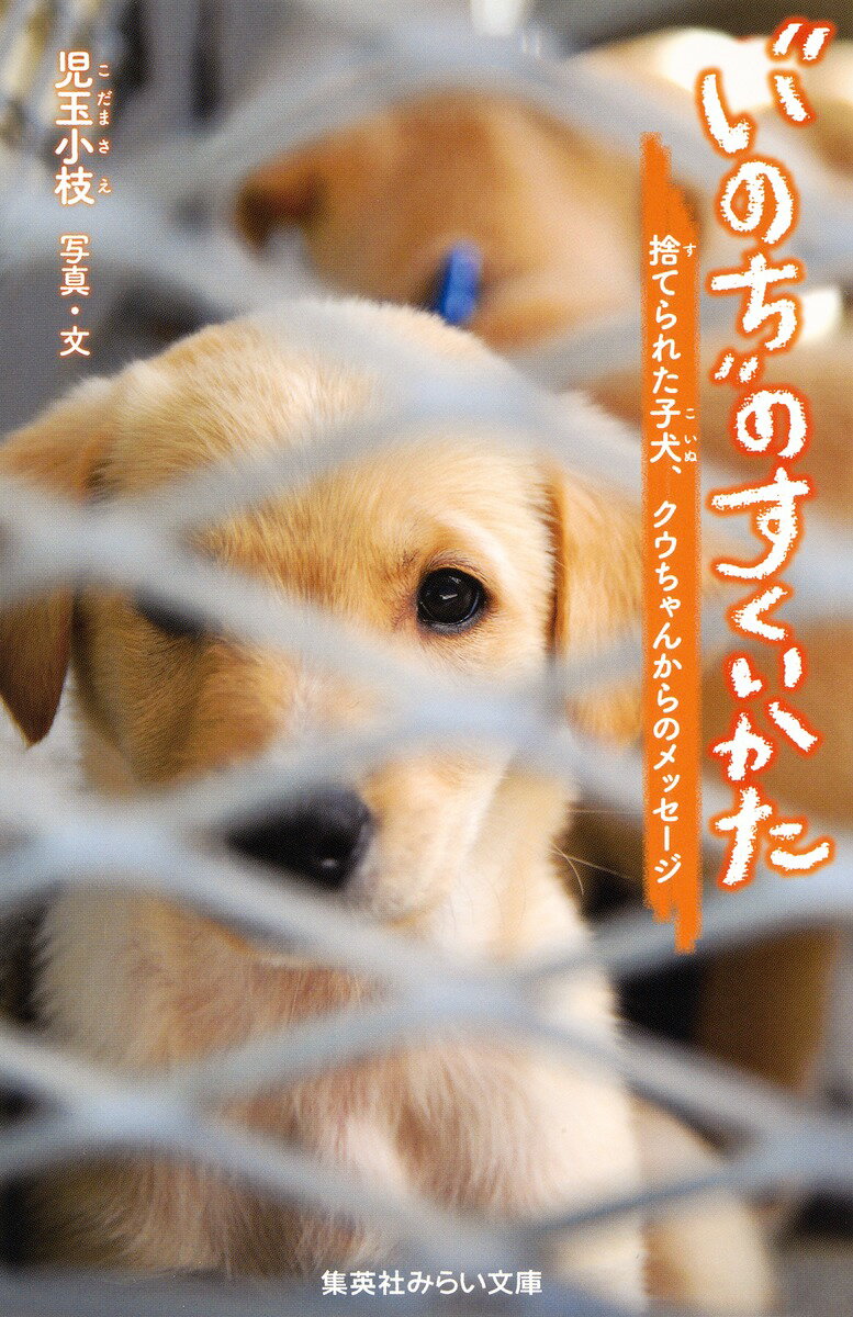 ◆◆◆非常にきれいな状態です。中古商品のため使用感等ある場合がございますが、品質には十分注意して発送いたします。 【毎日発送】 商品状態 著者名 児玉小枝 出版社名 集英社 発売日 2015年06月10日 ISBN 9784083212659