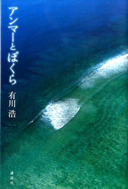 ◆◆◆非常にきれいな状態です。中古商品のため使用感等ある場合がございますが、品質には十分注意して発送いたします。 【毎日発送】 商品状態 著者名 有川浩 出版社名 講談社 発売日 2016年07月19日 ISBN 9784062201544