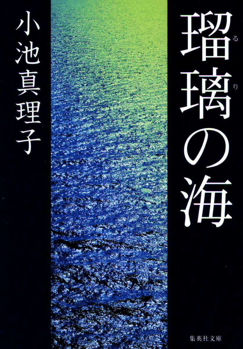 ◆◆◆全体的に汚れ、傷みがあります。中古ですので多少の使用感がありますが、品質には十分に注意して販売しております。迅速・丁寧な発送を心がけております。【毎日発送】 商品状態 著者名 小池真理子 出版社名 集英社 発売日 2006年10月25...