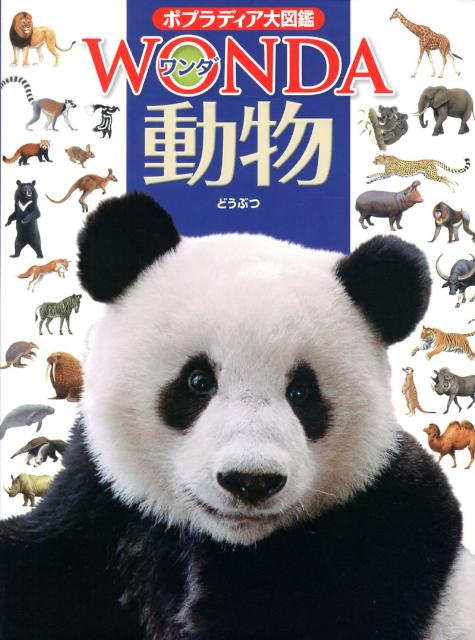 ◆◆◆全体的に使用感があります。カバーがありません。中古ですので多少の使用感がありますが、品質には十分に注意して販売しております。迅速・丁寧な発送を心がけております。【毎日発送】 商品状態 著者名 川田伸一郎 出版社名 ポプラ社 発売日 2...