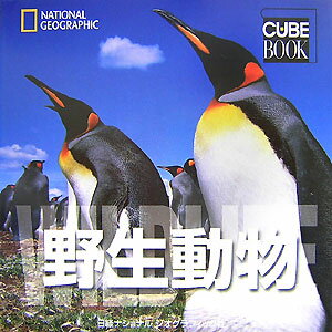 ◆◆◆小口に汚れがあります。中古ですので多少の使用感がありますが、品質には十分に注意して販売しております。迅速・丁寧な発送を心がけております。【毎日発送】 商品状態 著者名 ヴァレリア・マンフェルト・デ・ファビアニ、ジョルジォ・G．バルデッ...