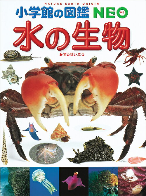 ◆◆◆全体的に使用感があります。のど割れがあります。中古ですので多少の使用感がありますが、品質には十分に注意して販売しております。迅速・丁寧な発送を心がけております。【毎日発送】 商品状態 著者名 白山義久 出版社名 小学館 発売日 200...