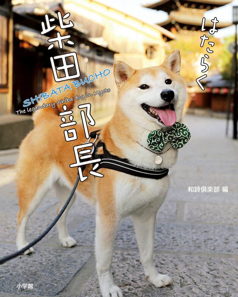 ◆◆◆おおむね良好な状態です。中古商品のため使用感等ある場合がございますが、品質には十分注意して発送いたします。 【毎日発送】 商品状態 著者名 和詩倶楽部 出版社名 小学館 発売日 2016年11月06日 ISBN 9784093884938
