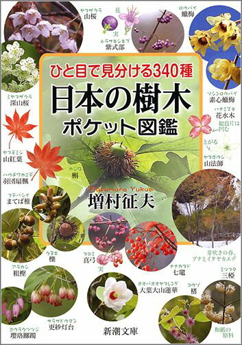 ◆◆◆書き込みがあります。中古ですので多少の使用感がありますが、品質には十分に注意して販売しております。迅速・丁寧な発送を心がけております。【毎日発送】 商品状態 著者名 増村征夫 出版社名 新潮社 発売日 2016年04月01日 ISBN...