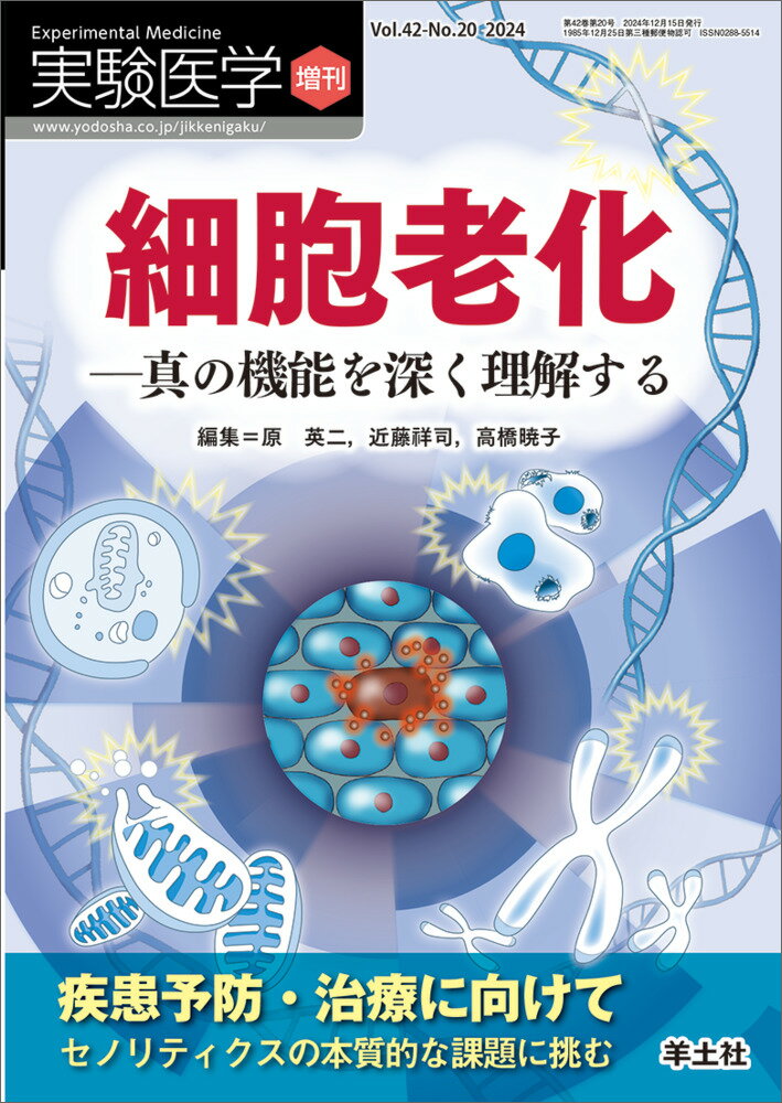◆◆◆おおむね良好な状態です。中古商品のため使用感等ある場合がございますが、品質には十分注意して発送いたします。 【毎日発送】 商品状態 著者名 原英二、近藤祥司 出版社名 羊土社 発売日 2024年12月15日 ISBN 97847581...