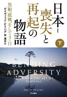 ◆◆◆おおむね良好な状態です。中古商品のため使用感等ある場合がございますが、品質には十分注意して発送いたします。 【毎日発送】 商品状態 著者名 デイヴィッド・ピリング、仲達志 出版社名 早川書房 発売日 2014年10月25日 ISBN ...