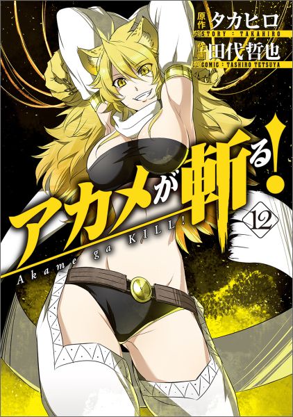 ◆◆◆おおむね良好な状態です。中古商品のため使用感等ある場合がございますが、品質には十分注意して発送いたします。 【毎日発送】 商品状態 著者名 田代哲也、タカヒロ 出版社名 スクウェア・エニックス 発売日 2015年07月22日 ISBN...