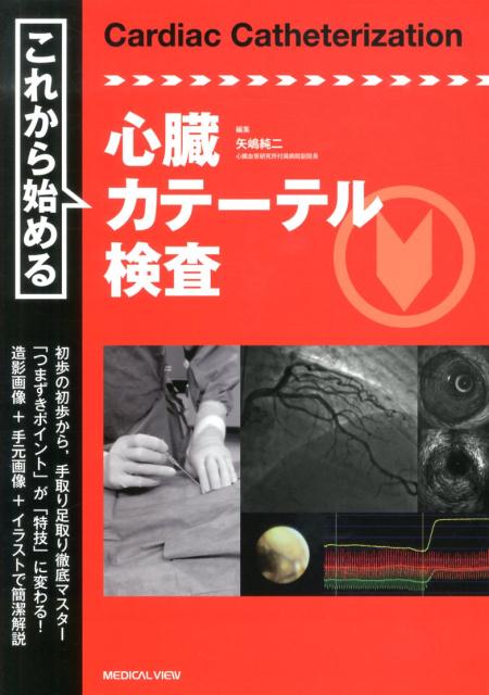 ◆◆◆歪みがあります。カバーに汚れ、傷み、破れがあります。小口に日焼け、汚れがあります。中古ですので多少の使用感がありますが、品質には十分に注意して販売しております。迅速・丁寧な発送を心がけております。【毎日発送】 商品状態 著者名 矢嶋純...
