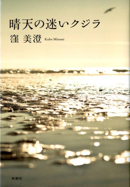 ◆◆◆非常にきれいな状態です。中古商品のため使用感等ある場合がございますが、品質には十分注意して発送いたします。 【毎日発送】 商品状態 著者名 窪美澄 出版社名 新潮社 発売日 2012年02月20日 ISBN 9784103259220
