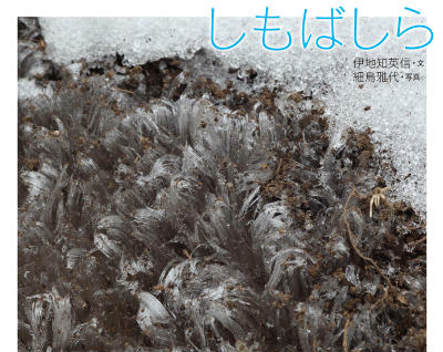 ◆◆◆カバーがありません。中古ですので多少の使用感がありますが、品質には十分に注意して販売しております。迅速・丁寧な発送を心がけております。【毎日発送】 商品状態 著者名 細島雅代、伊地知英信 出版社名 岩崎書店 発売日 2014年12月 ...