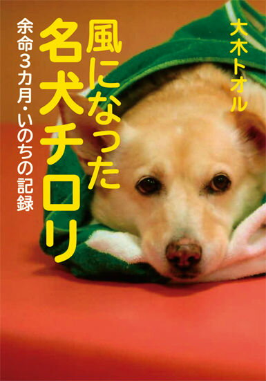 ◆◆◆非常にきれいな状態です。中古商品のため使用感等ある場合がございますが、品質には十分注意して発送いたします。 【毎日発送】 商品状態 著者名 大木トオル 出版社名 岩崎書店 発売日 2013年11月 ISBN 9784265083039