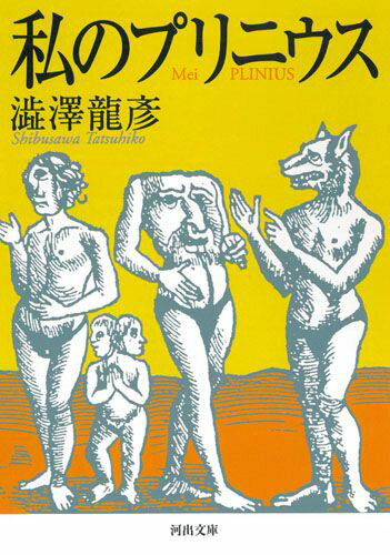◆◆◆おおむね良好な状態です。中古商品のため使用感等ある場合がございますが、品質には十分注意して発送いたします。 【毎日発送】 商品状態 著者名 澁澤龍彦 出版社名 河出書房新社 発売日 2014年04月20日 ISBN 978430941...