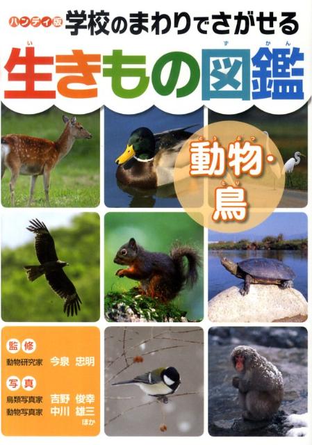 ◆◆◆おおむね良好な状態です。中古商品のため使用感等ある場合がございますが、品質には十分注意して発送いたします。 【毎日発送】 商品状態 著者名 吉野俊幸、中川雄三 出版社名 金の星社 発売日 2010年03月 ISBN 978432305...